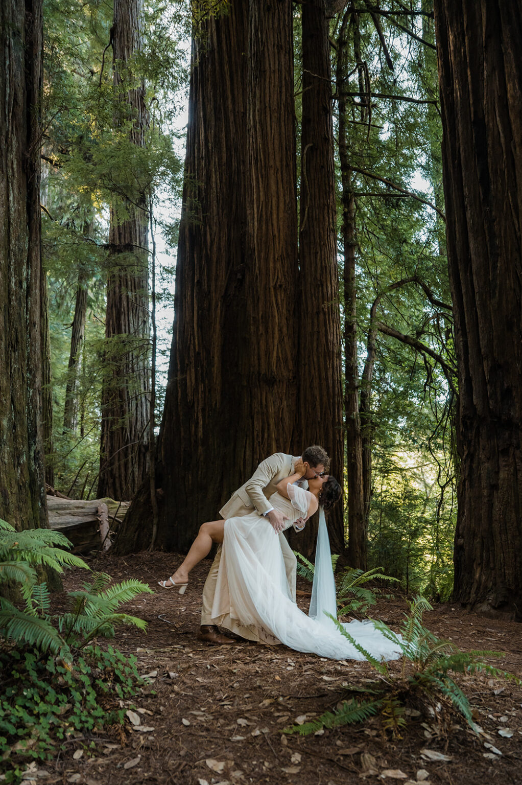 Secret Beach and Redwoods Elopement - Wandering Peaks